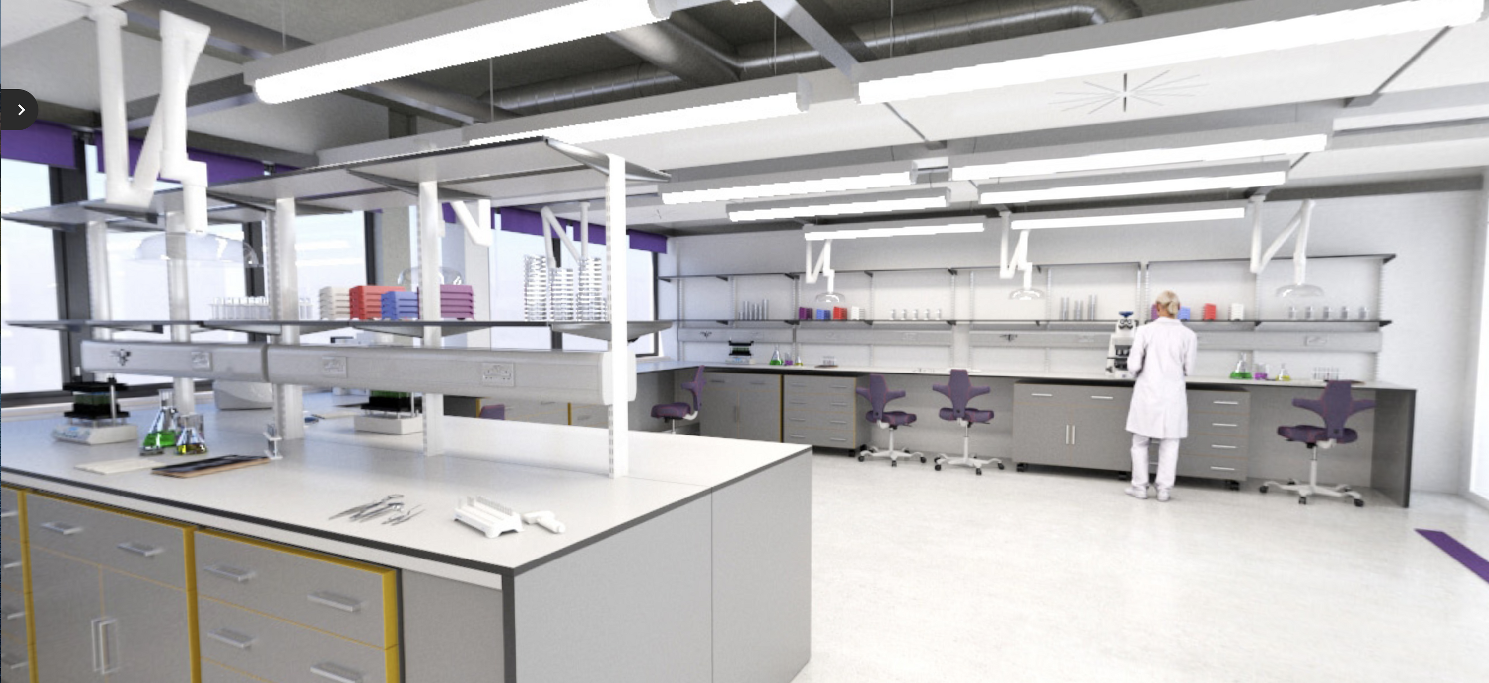 Virtual Scientia